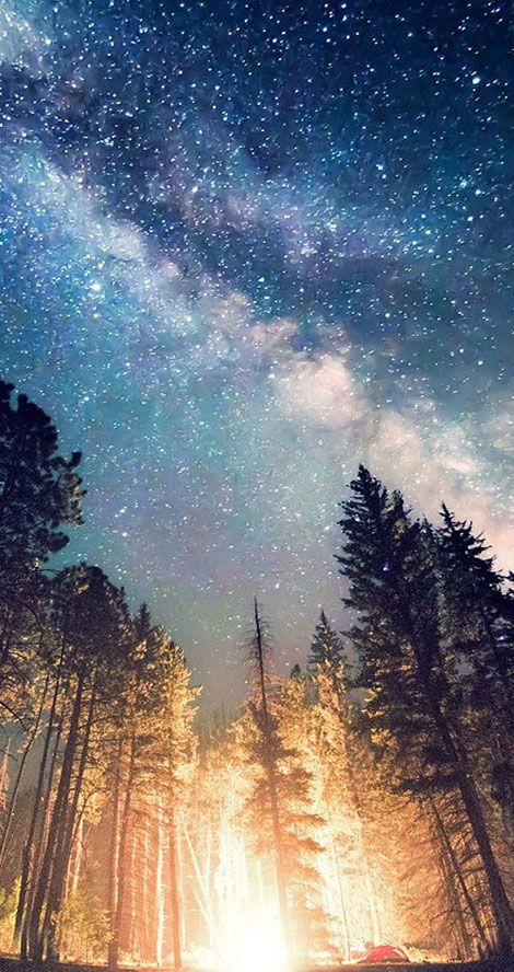 Portrait Full Hd Wallpaper- WallpaperUse