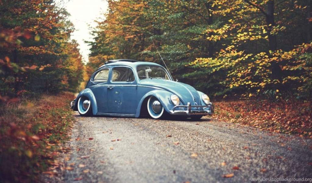 käfer tapete,landfahrzeug,fahrzeug,auto,coup,rand (#848454) - WallpaperUse