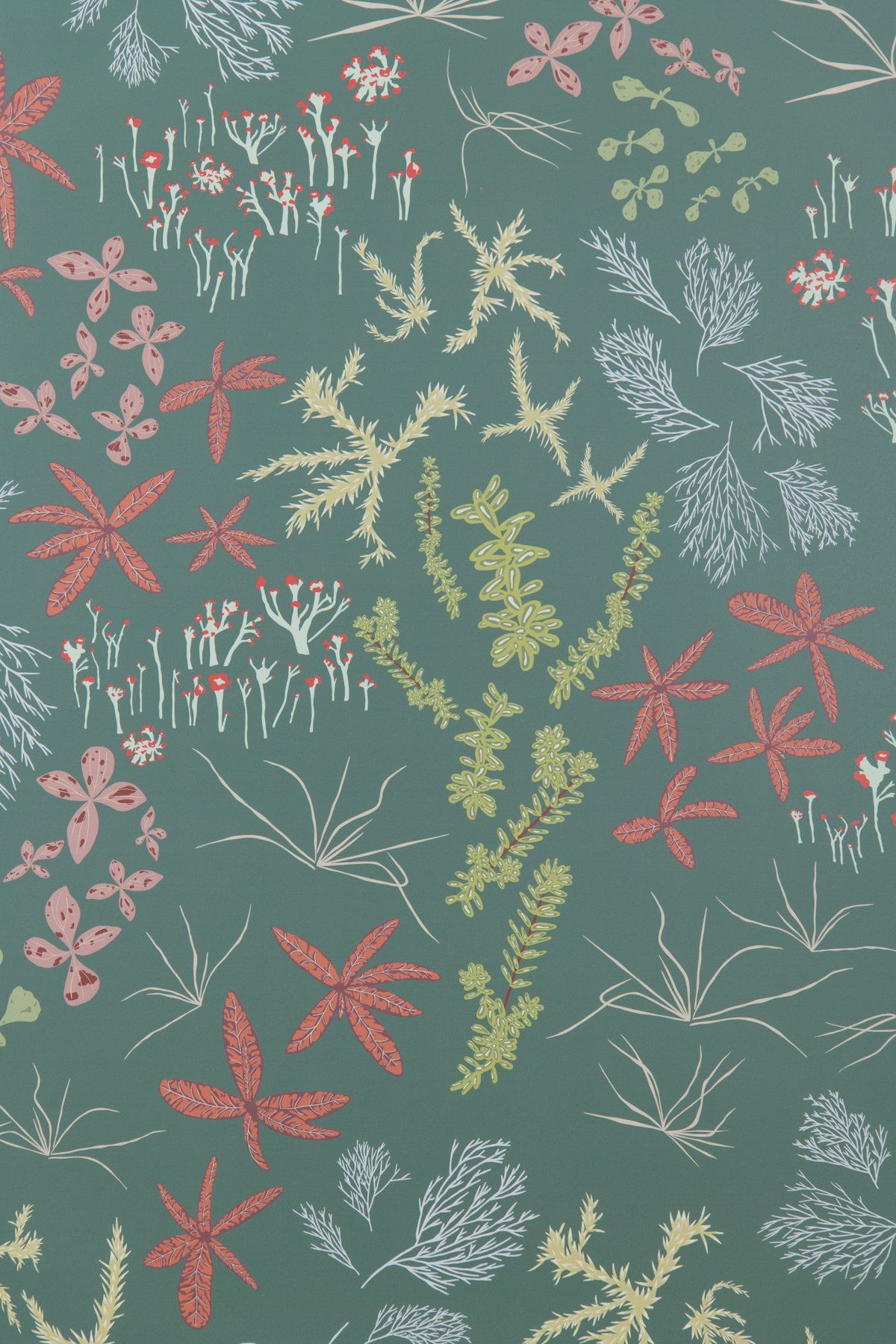 bog wallpaper,green,pattern,leaf,botany,design (#854777) - WallpaperUse