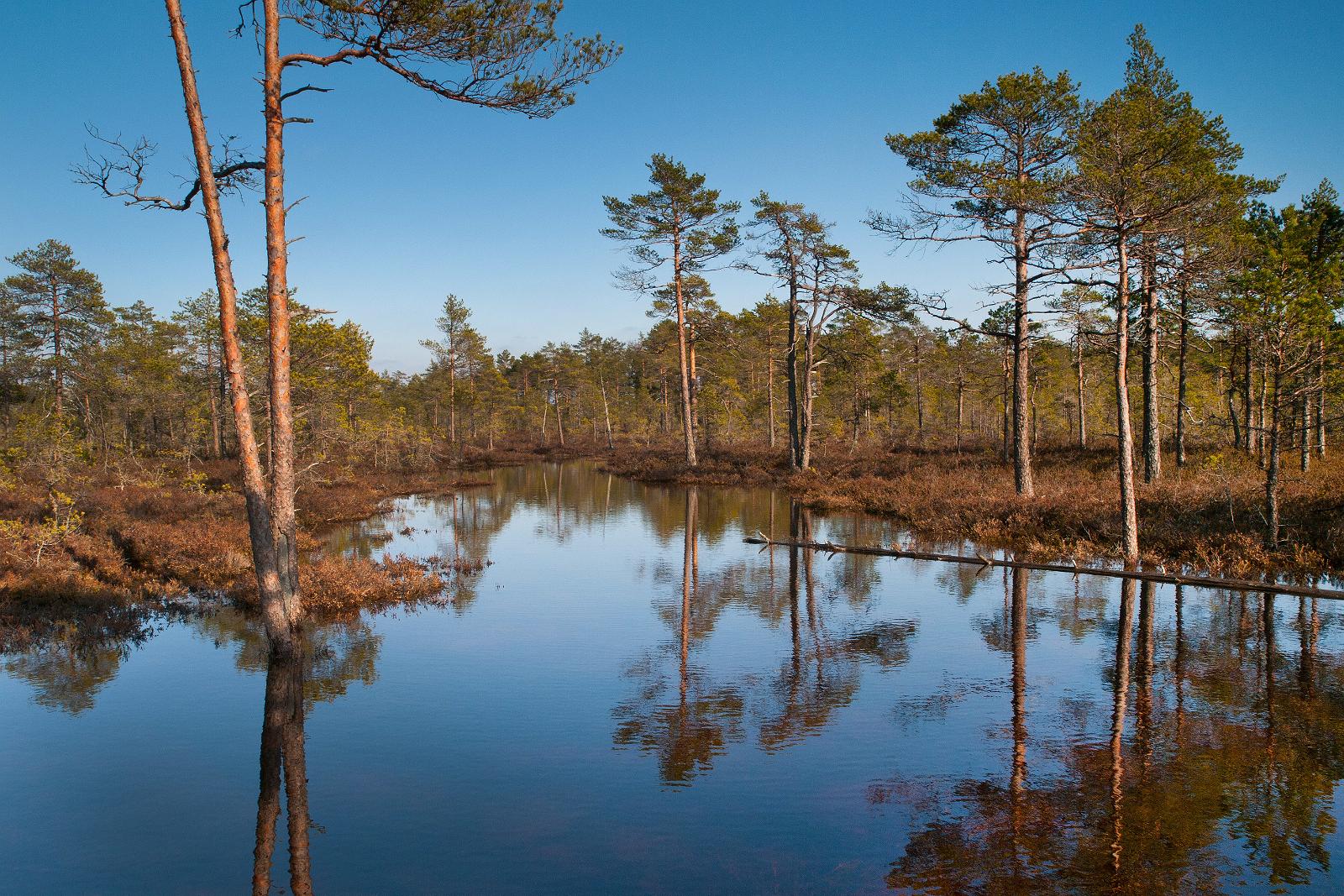 Eesti Rabad- WallpaperUse