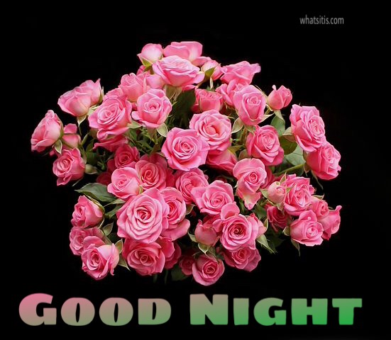 Good Night Flowers Wallpapers - Good Night Images Pink Rose- WallpaperUse