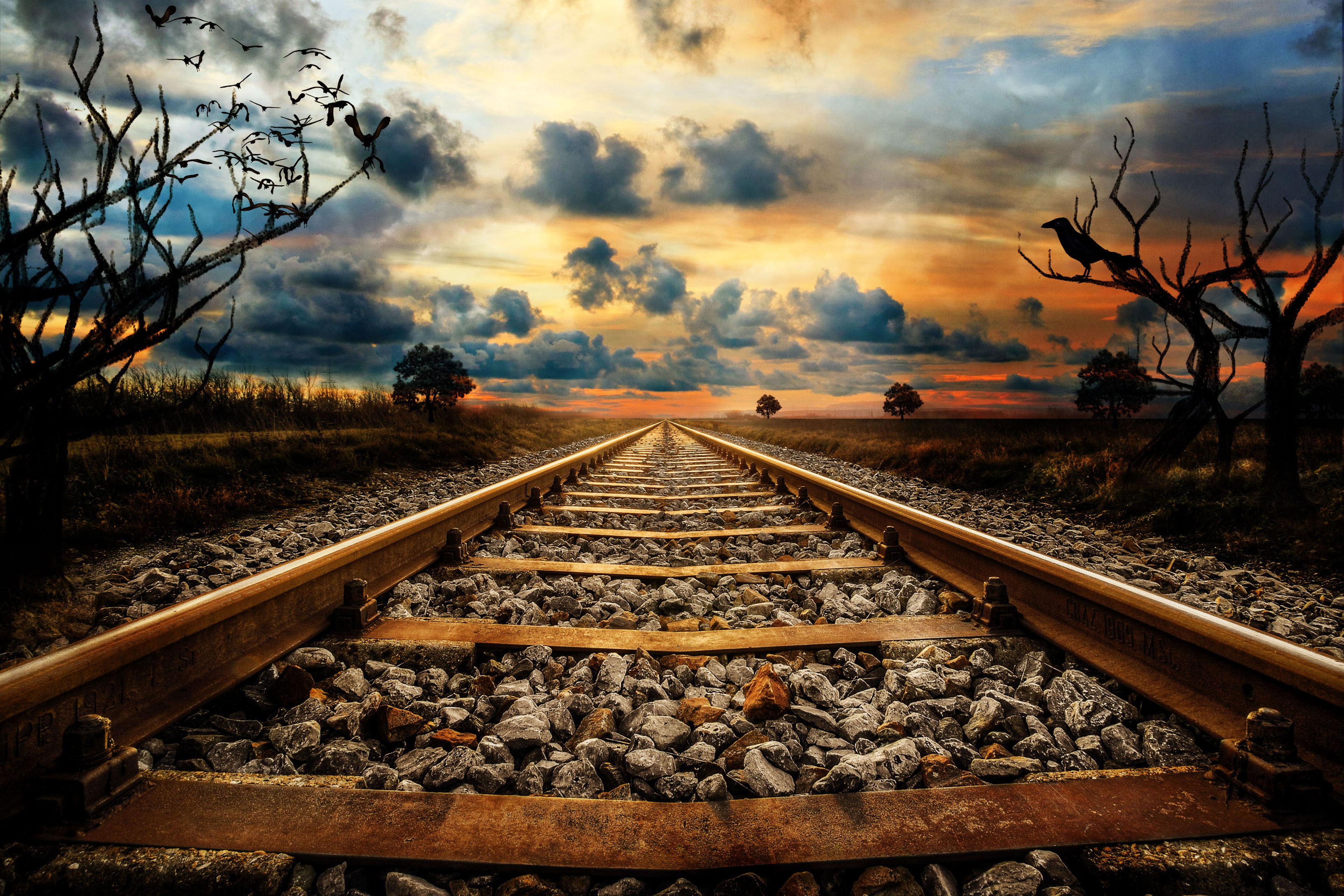 Rail Line Photography- WallpaperUse