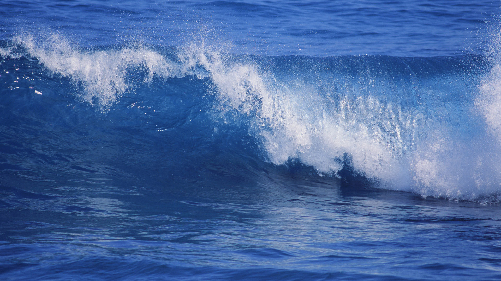 Animated Ocean Waves Gif Earth Wave Wallpaper - Tidal Wave Gif ...