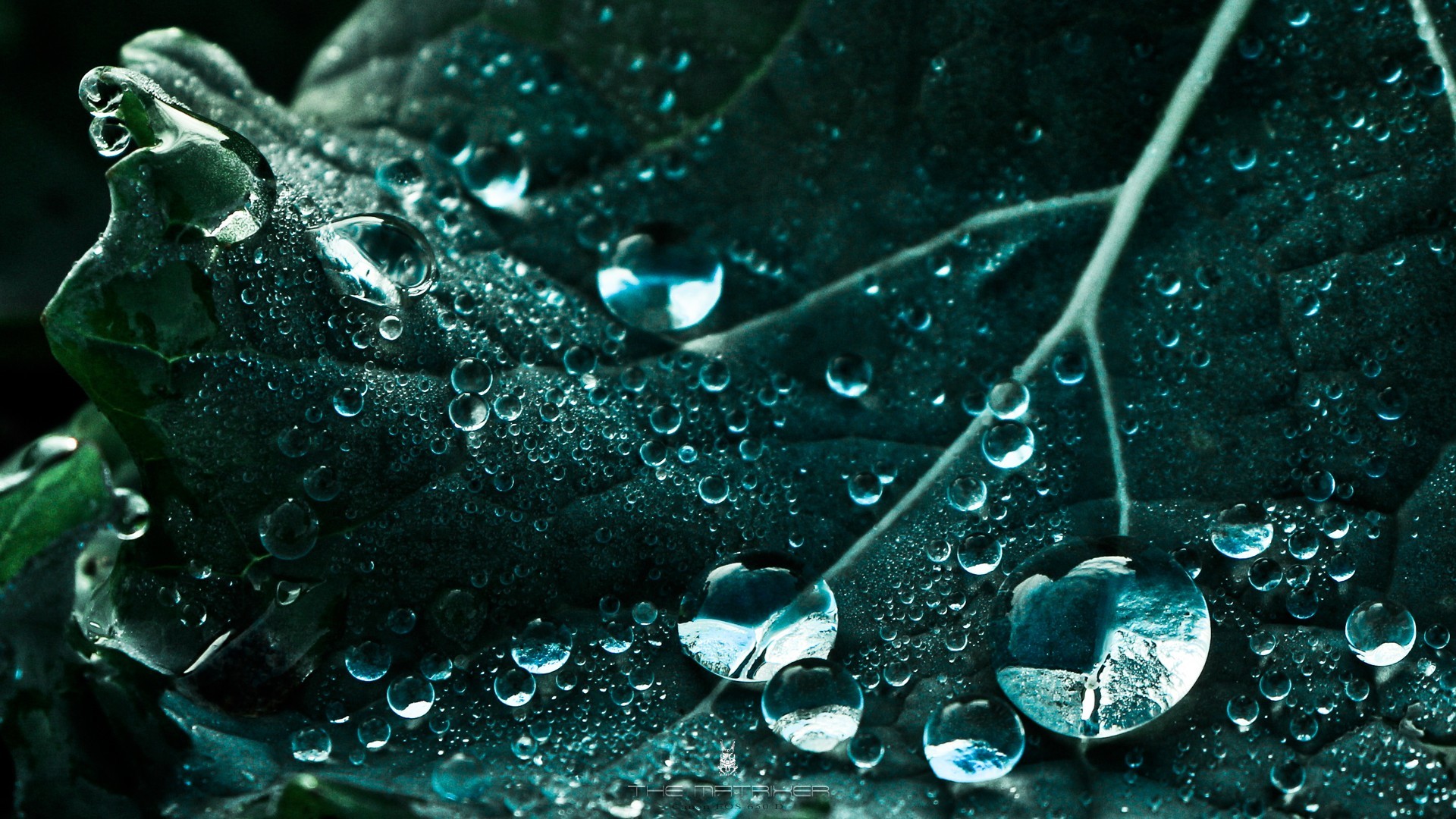 carta da parati wasser,acqua,rugiada,umidità,blu,far cadere (#866544 ...