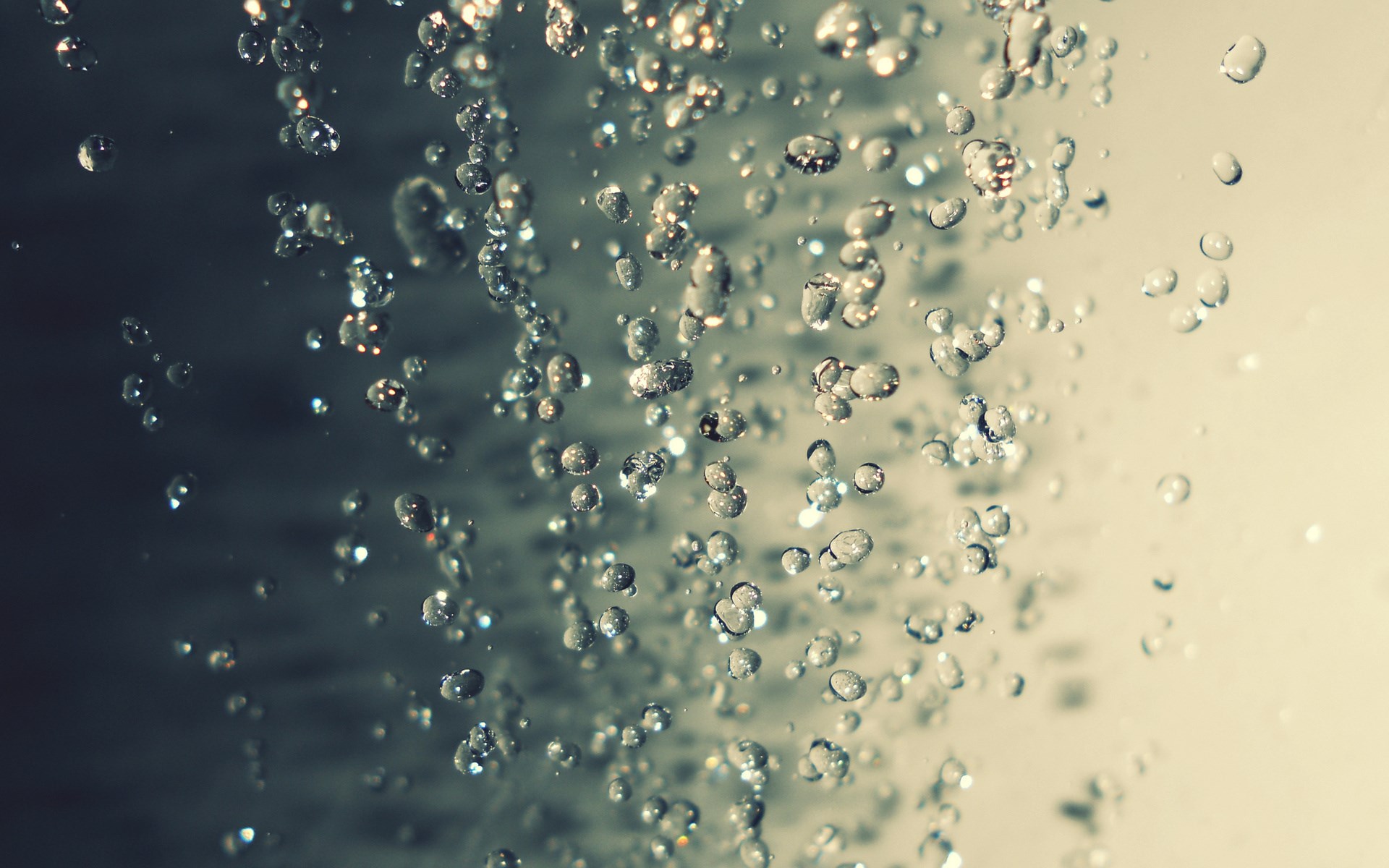 rain water wallpaper,water,moisture,drop,liquid bubble,dew (#867404 ...