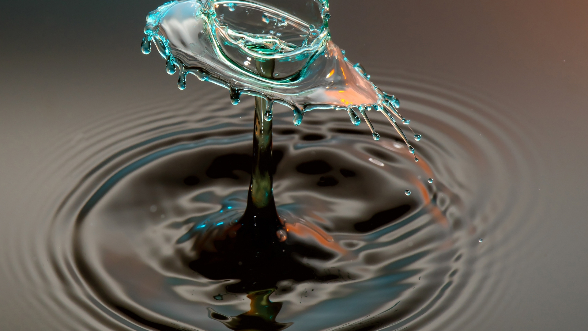 Water Drop Hd Wallpapers 1080p