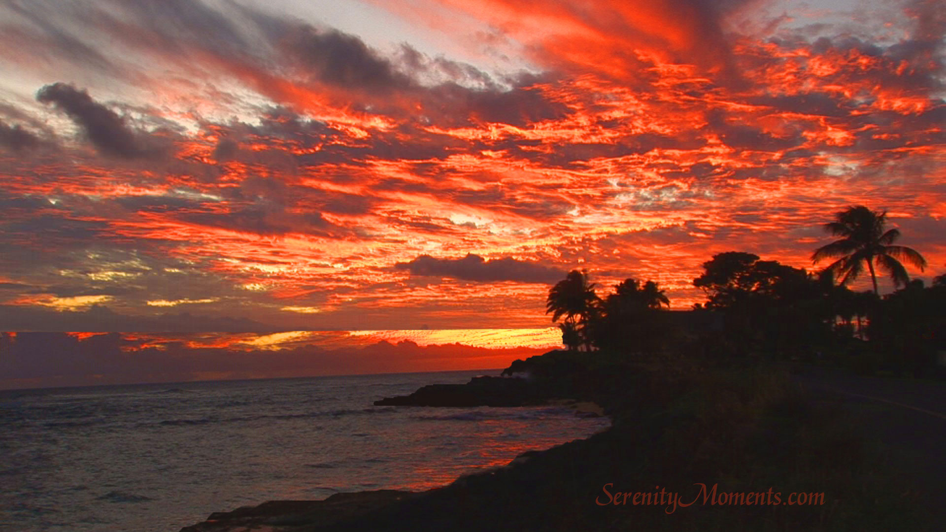 free wallpaper screensavers,sky,red sky at morning,horizon,sunset ...