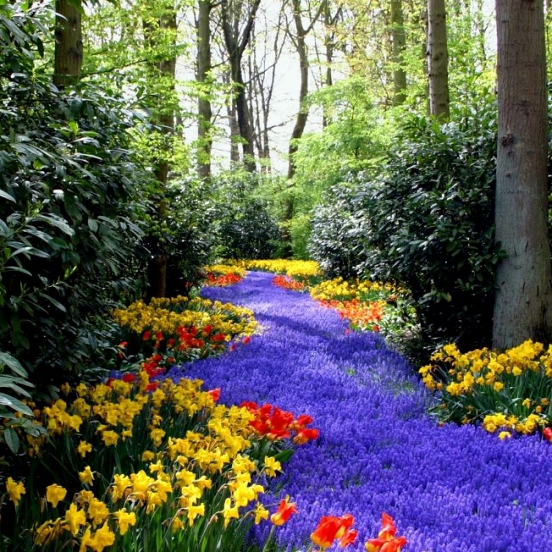 10 Best Spring Scenery Wallpaper Widescreen Full Hd - Peisaje De ...