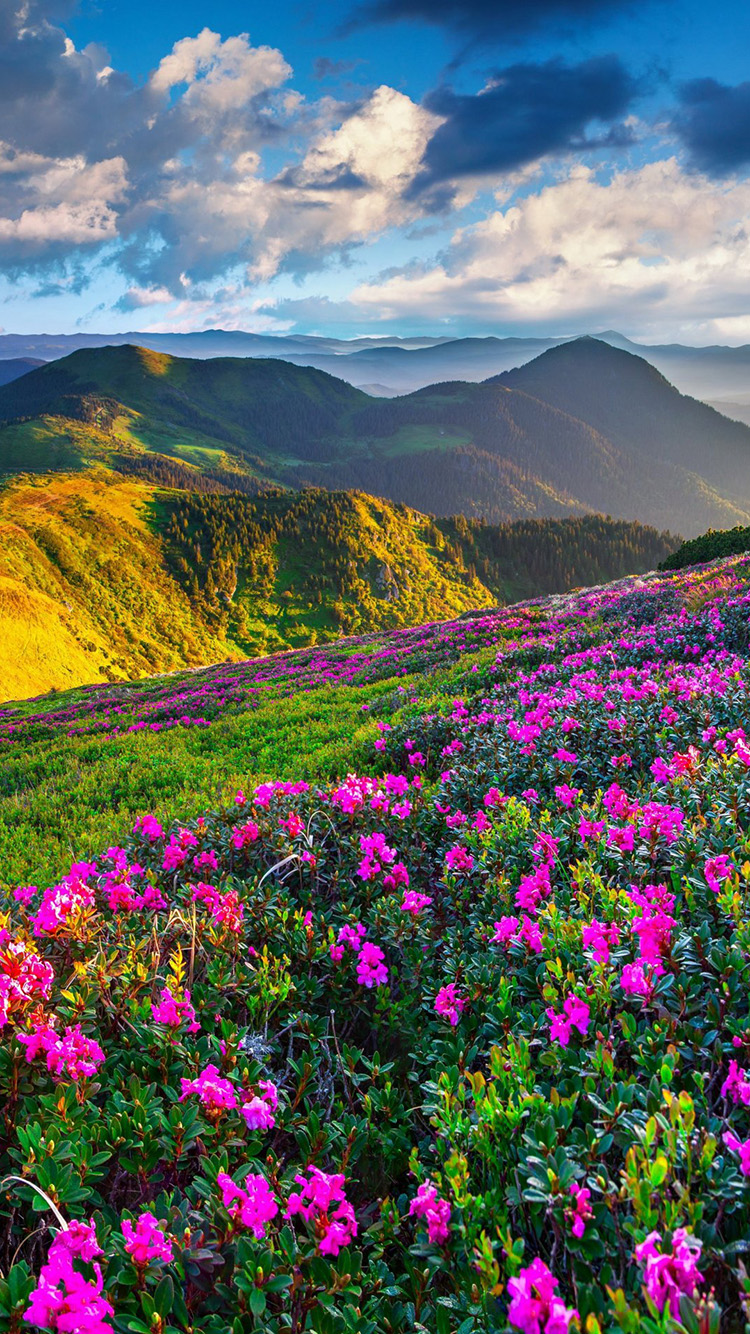 Excellent Pictures Of Nature- WallpaperUse