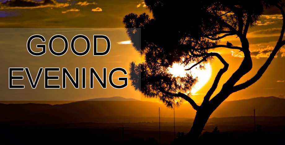 good evening wallpaper,sky,nature,natural landscape,tree,text (#877956 ...