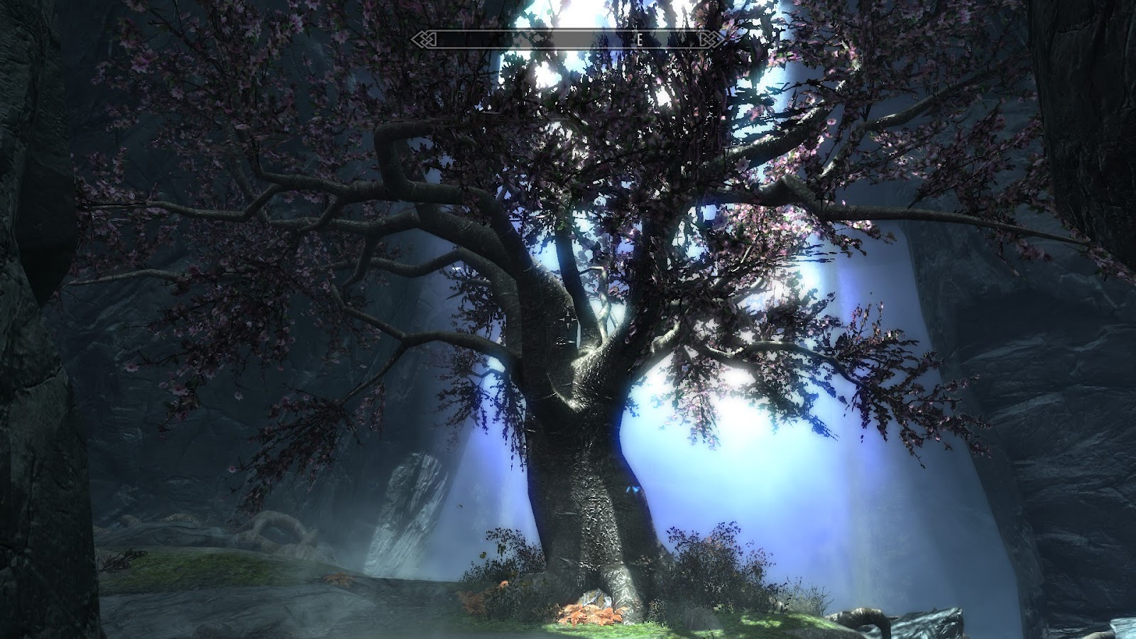 skyrim wallpaper,tree,nature,natural landscape,natural environment ...
