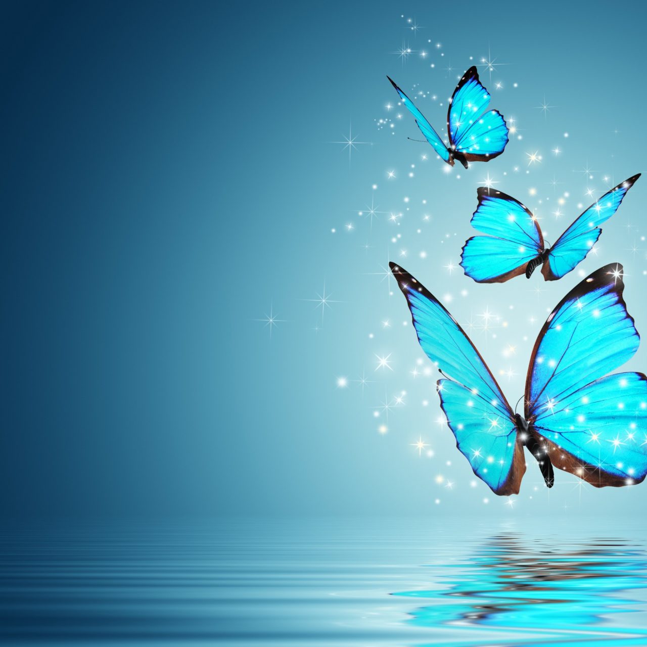 wallpaper wallpaper wallpaper,blue,water,aqua,butterfly,turquoise ...