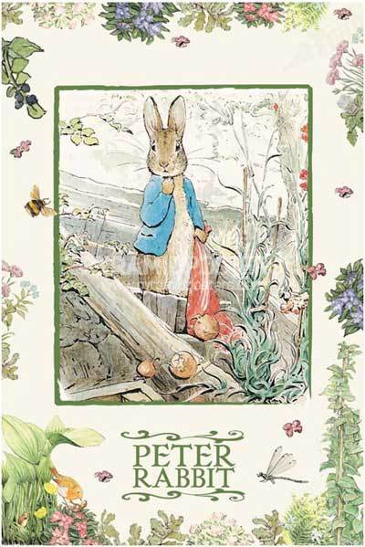 Peter Rabbit - Beatrix Potter Background Peter Rabbit- WallpaperUse