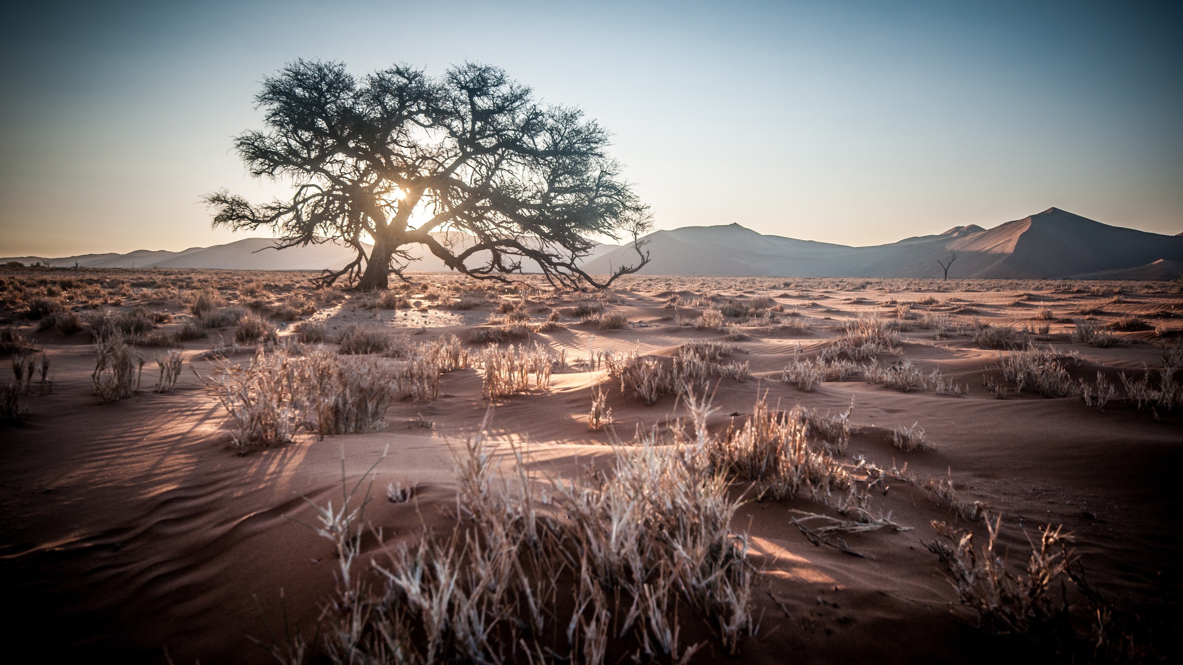 Namibia Landscape- WallpaperUse