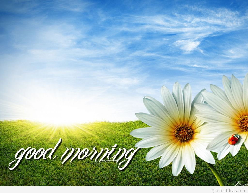 beautiful good morning wallpaper,sky,people in nature,nature,natural ...