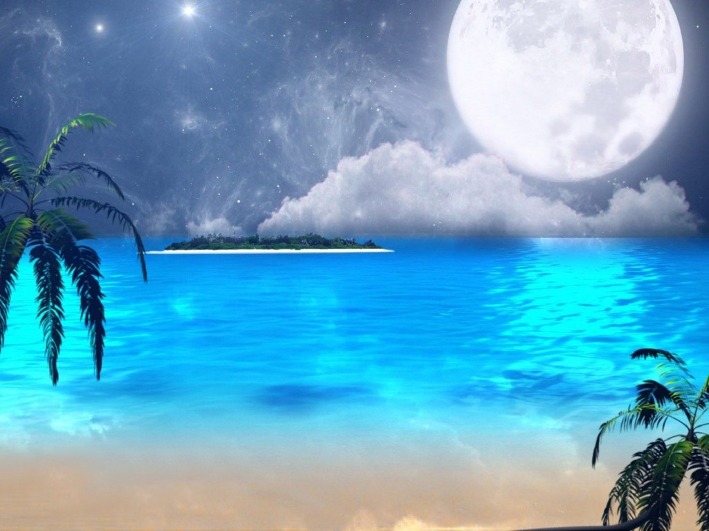 Full Wallpaper- WallpaperUse