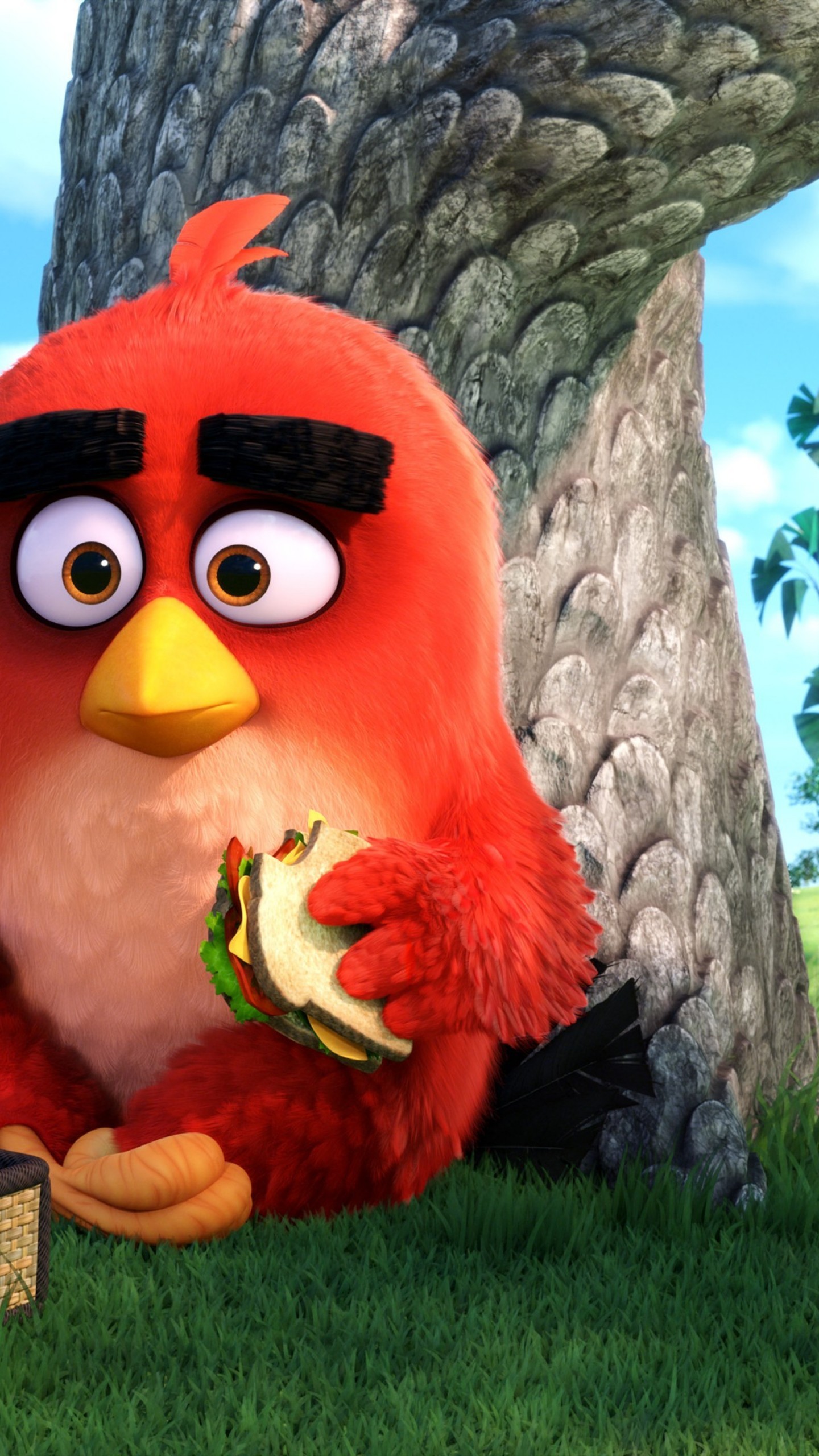 angry birds wallpaper hd,angry birds,animated cartoon,bird,beak ...