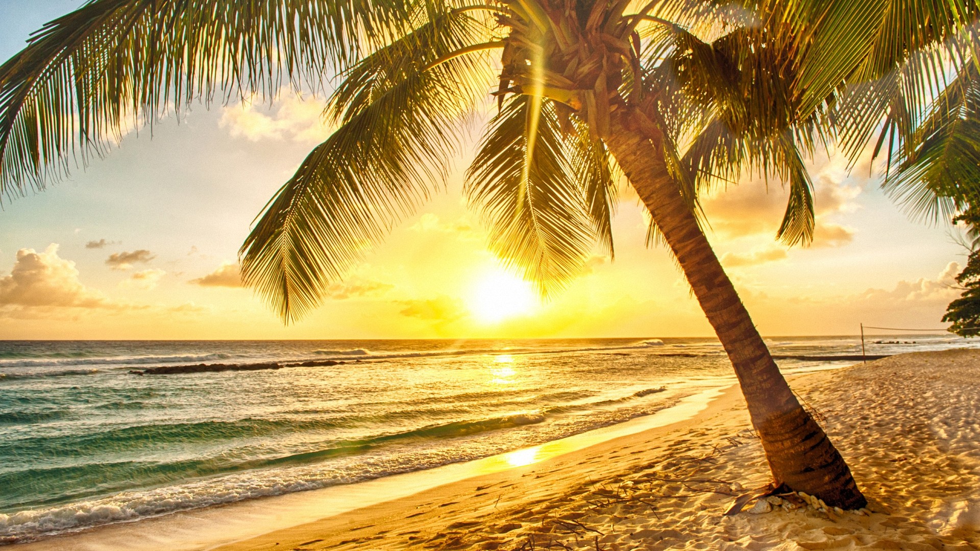 Tropical Paradise Beach Palms Sea Wallpapers Full Hd - Desktop ...