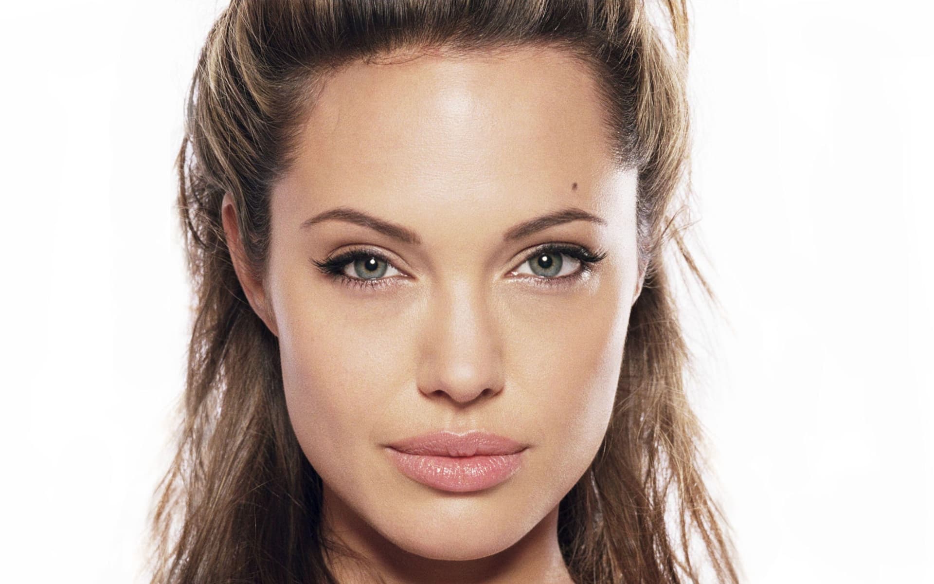 angelina jolie wallpaper,face,hair,eyebrow,skin,lip (#898022 ...