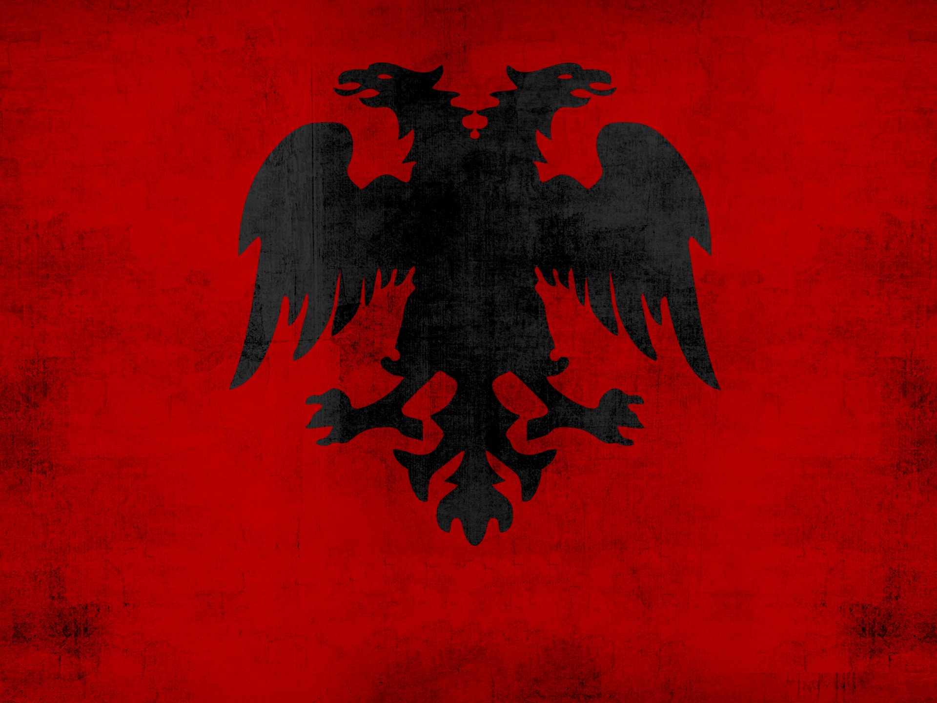 albania wallpaper,red,wing,symbol,bird (#898305) - WallpaperUse