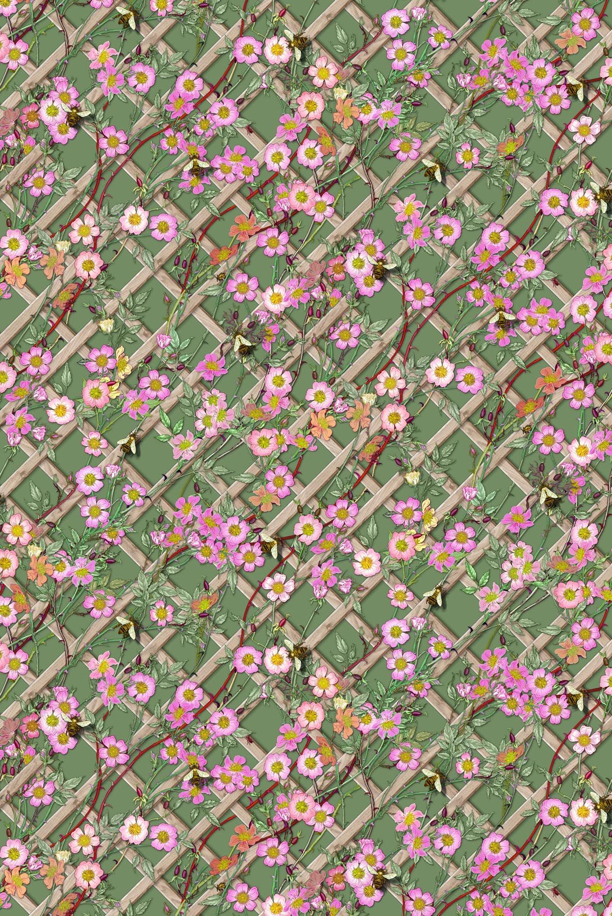 trellis wallpaper,green,pattern,pink,textile,design (#899598 ...