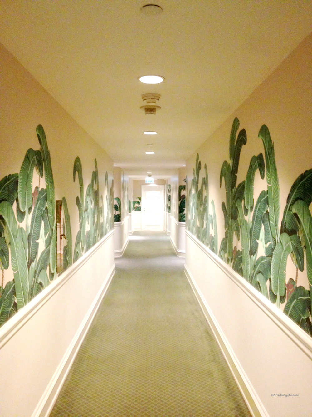 beverly hills hotel wallpaper,ceiling,aisle,building,interior design ...