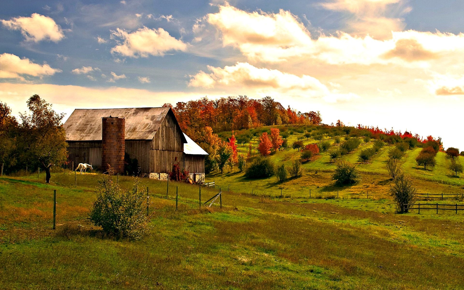Fall Season Nature Leaf Horse Barn Landscape Farm Sky - Hd Farm ...