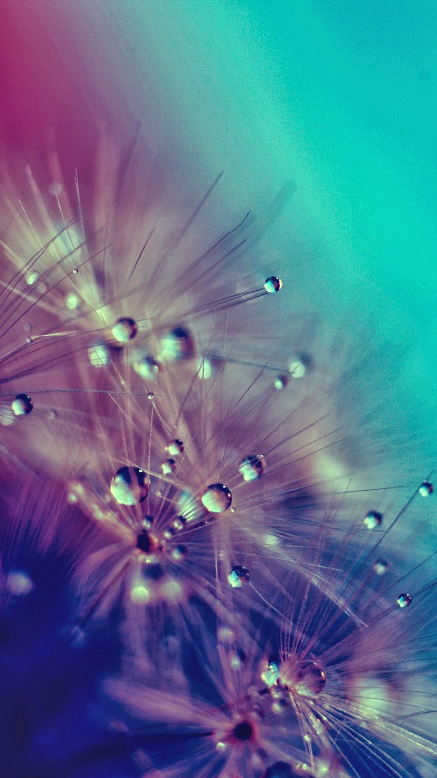 Stylish Hd Wallpapers For Android- WallpaperUse