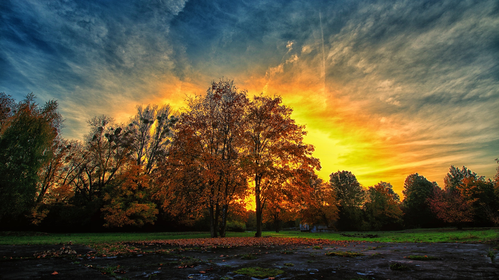 1920 wallpaper,sky,natural landscape,nature,tree,cloud (#907720 ...