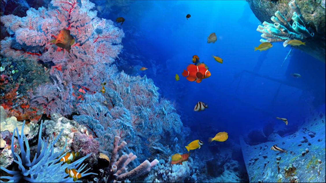 Fondos En Movimiento - Background Laut Hd- WallpaperUse