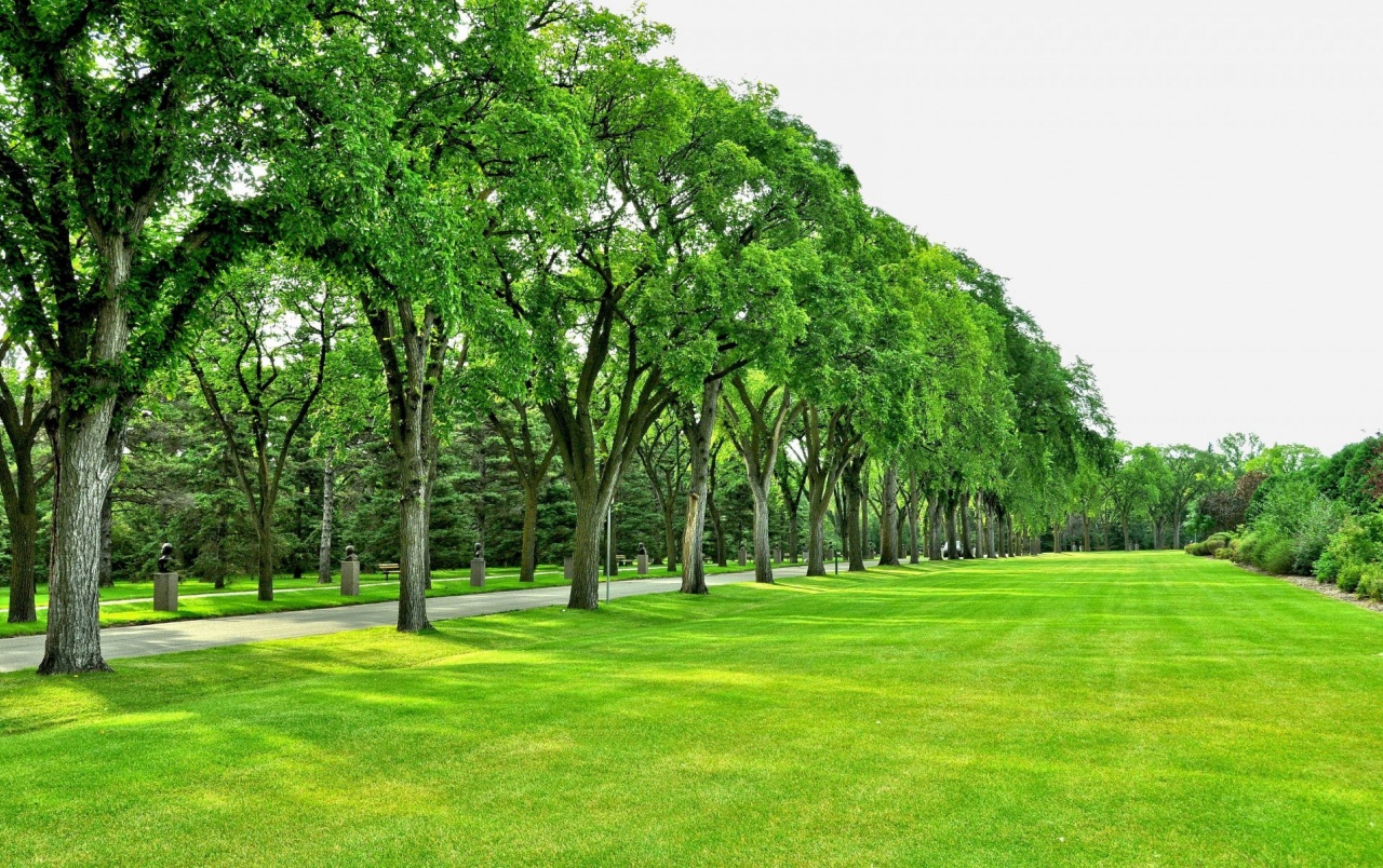 Park Trees Lawn Road Wallpapers - Parks Road Wallpaper For Iphone ...