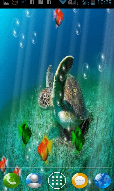 Sea Turtle Android- WallpaperUse