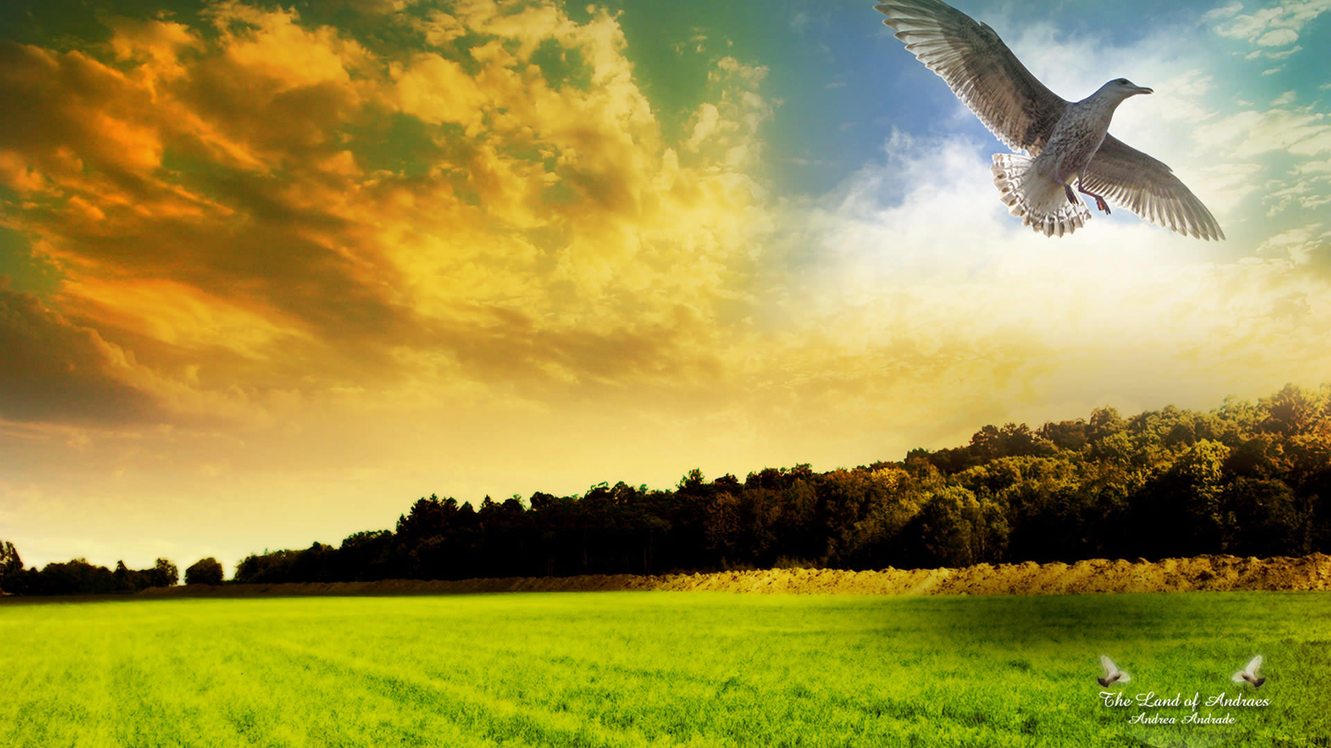 wonderful wallpapers,sky,natural landscape,nature,grassland,natural ...