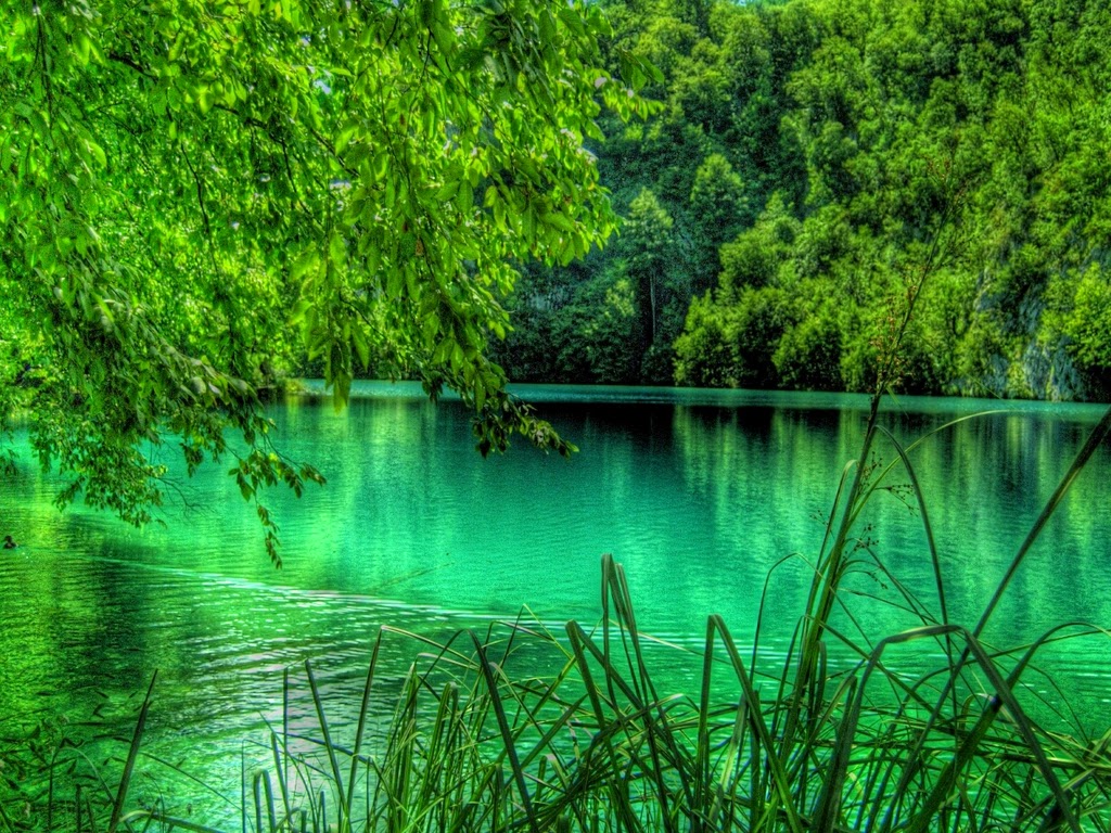 wallpaper pemandangan hd,green,natural landscape,nature,water ...