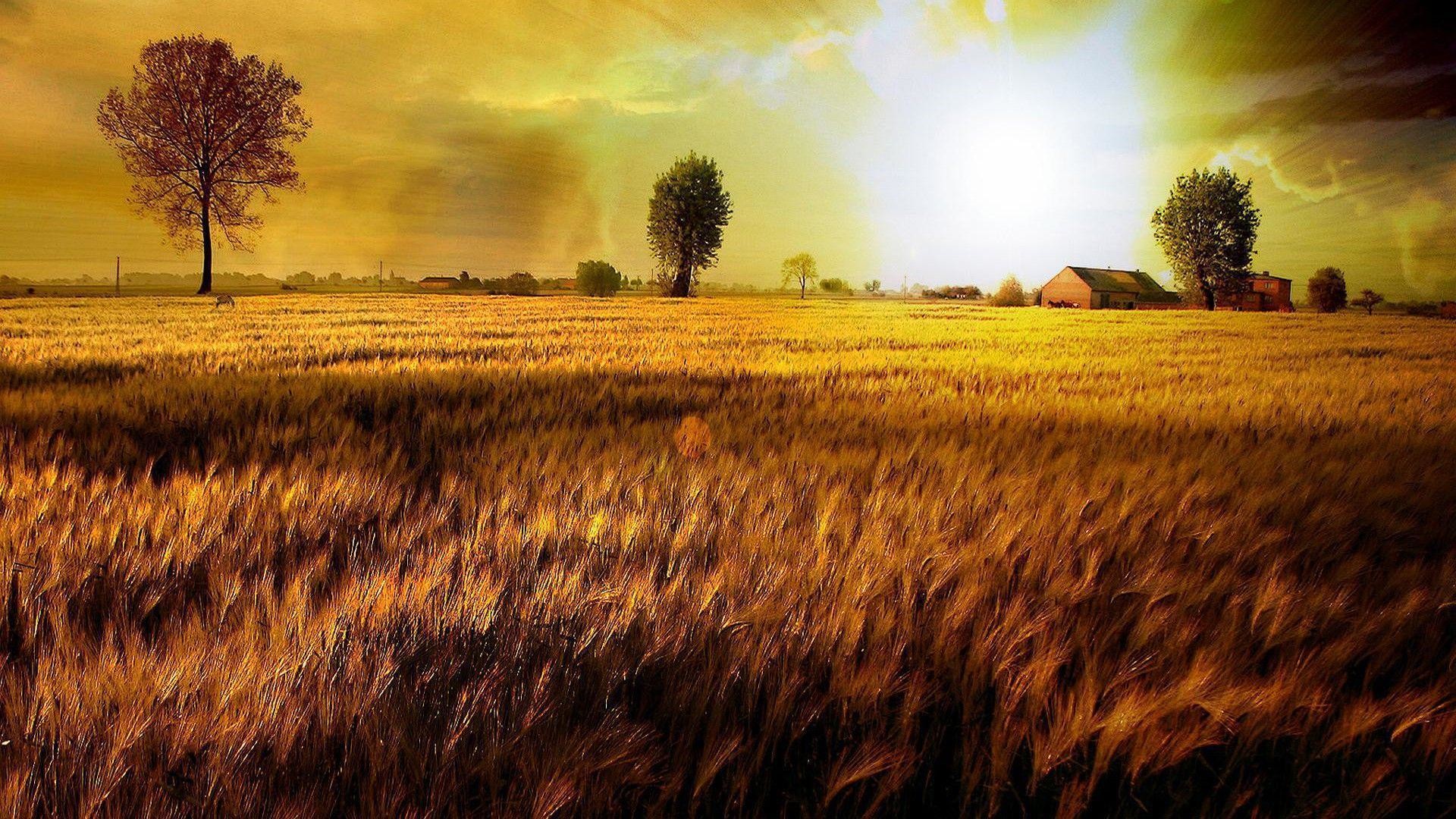 gladiator wallpaper,natural landscape,nature,sky,field,atmospheric ...