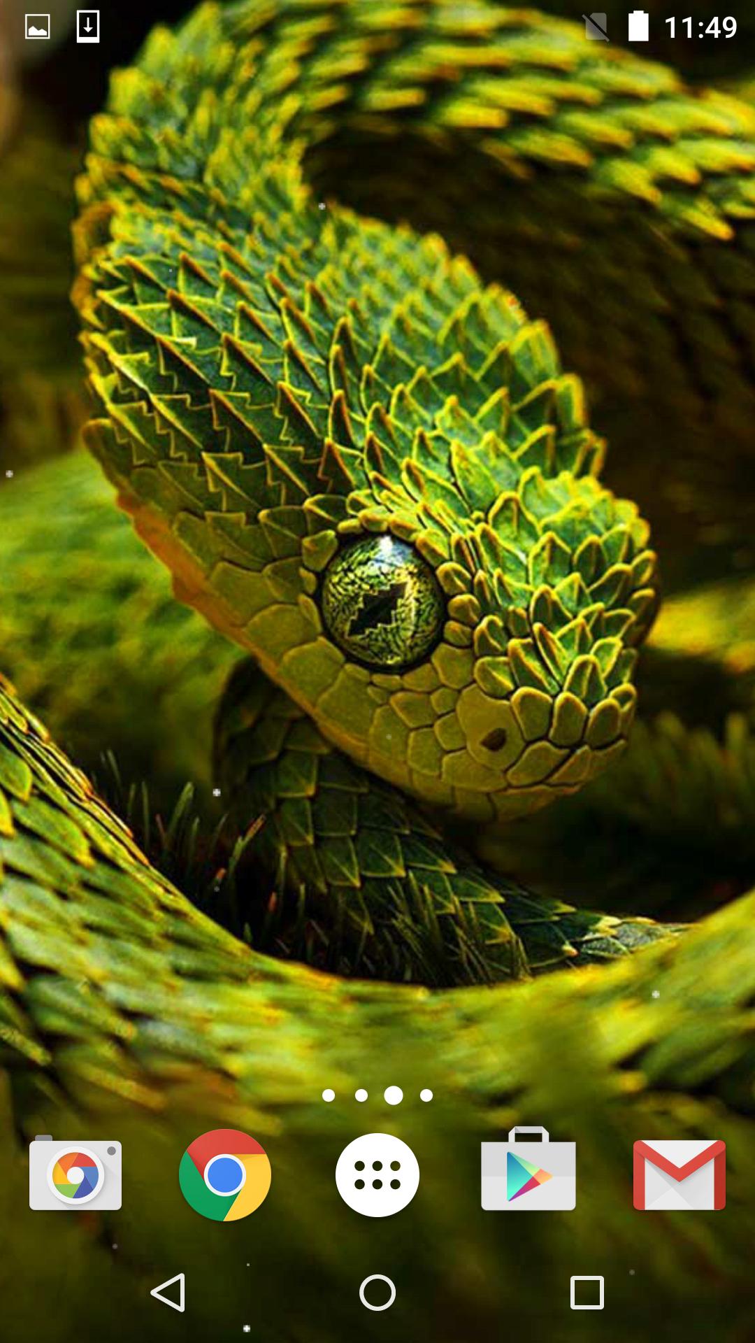 Snake Live Wallpaper- WallpaperUse