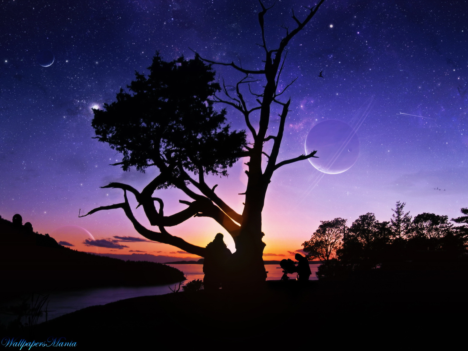 wallpapers new latest,sky,nature,tree,natural landscape,night (#935208 ...