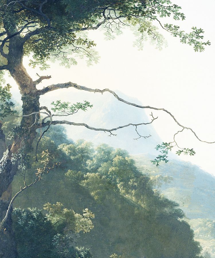 fresco wallpaper,nature,tree,vegetation,atmospheric phenomenon,natural ...