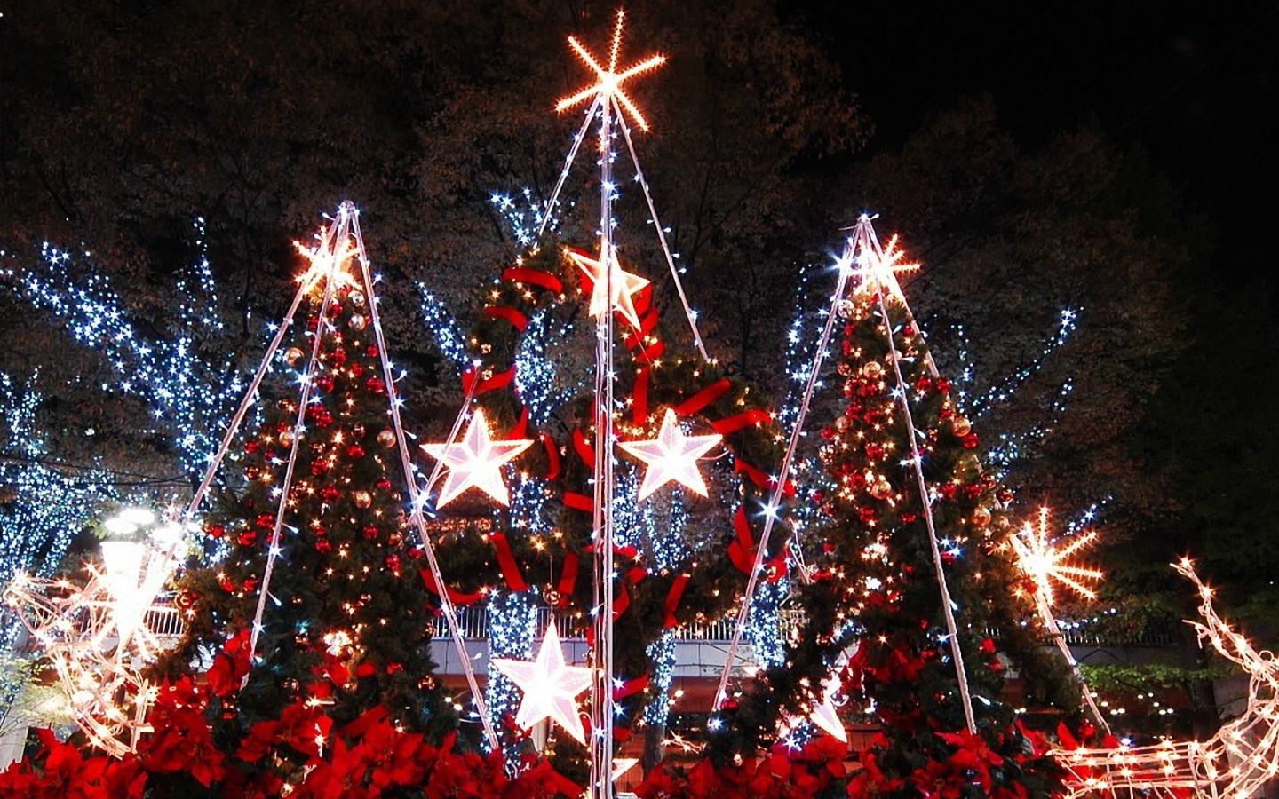 Christmas Day 2011 Wallpapers 32002 - Christmas In Vietnam 2019 ...