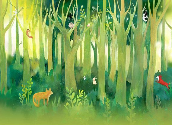 Forest Wallpaper For Kids- WallpaperUse