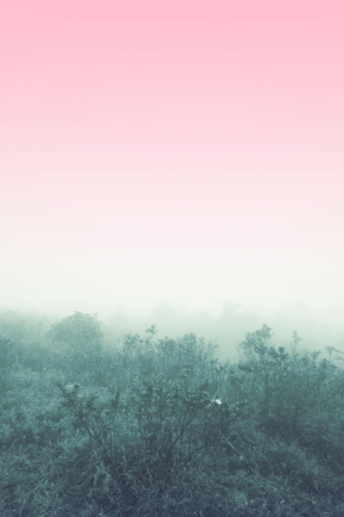 Faded Backgrounds- WallpaperUse