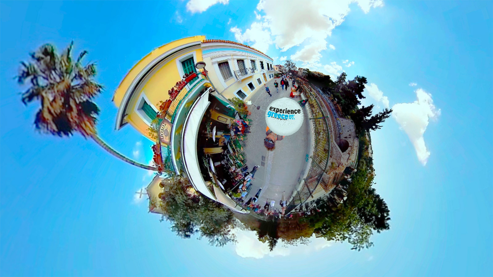 The First 360 Degrees Video Released - Palm Tree- WallpaperUse