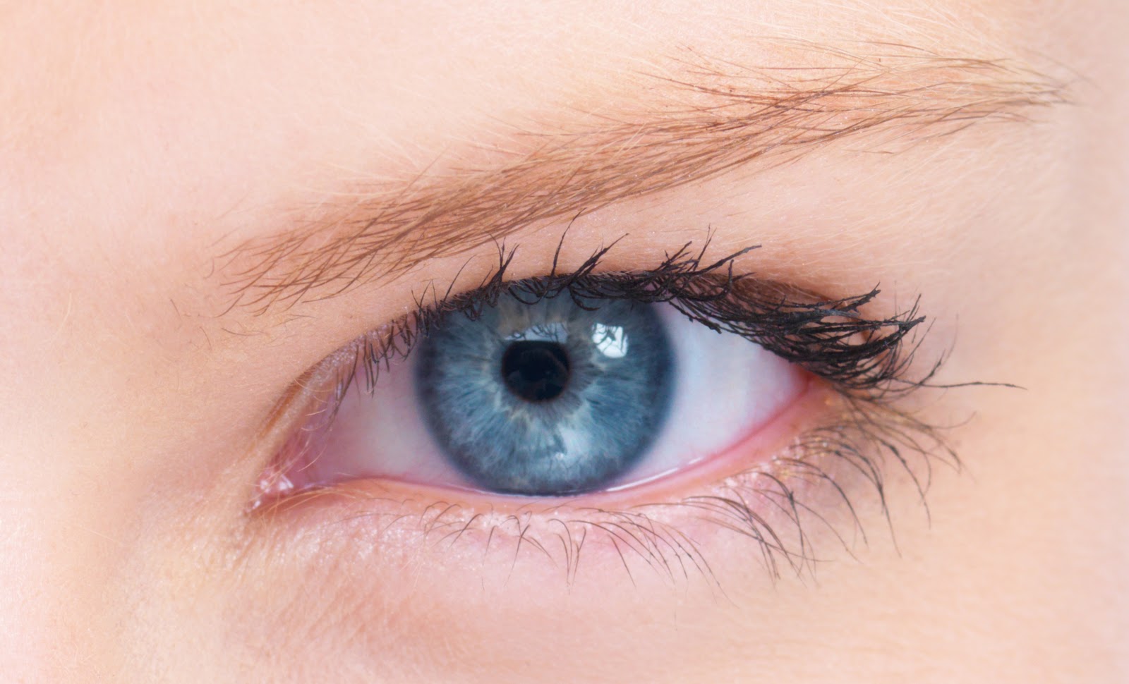 Hd Wallpapers Blue Eye Hd Wallpaper - Eye Color- WallpaperUse