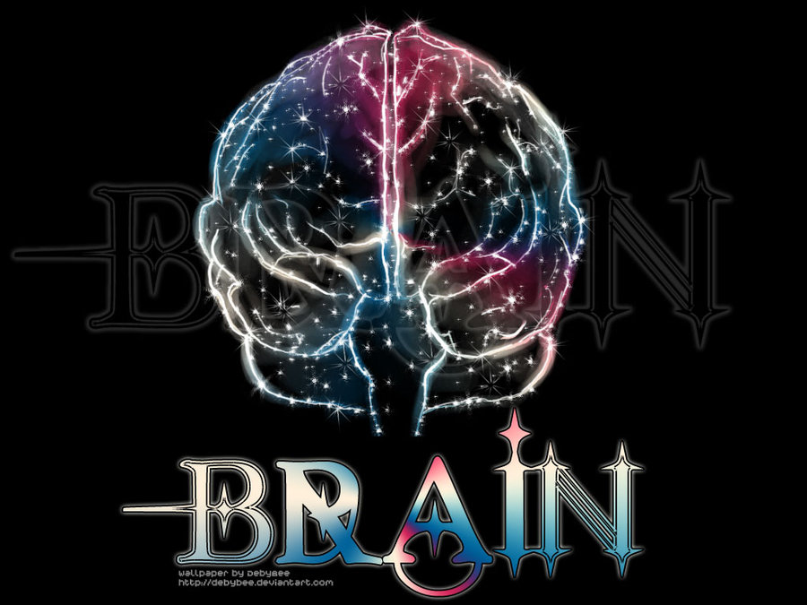 brain wallpaper,text,graphic design,organ,font,brain (#966765 ...