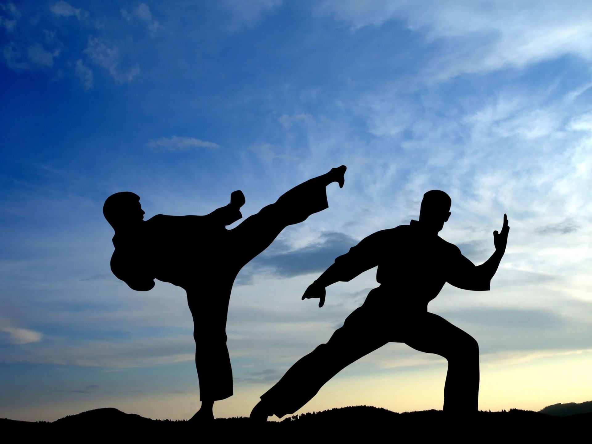 martial arts wallpaper,people in nature,kick,kung fu,sky,baguazhang ...