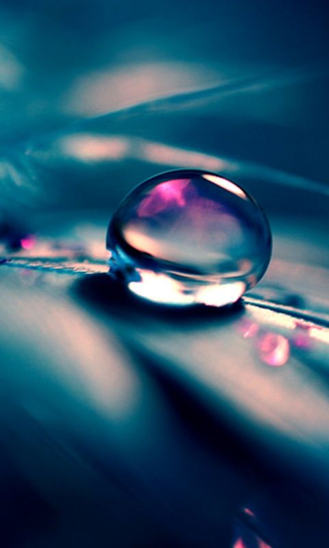 480x800 wallpapers,blue,water,sky,macro photography,close up (#972124 ...