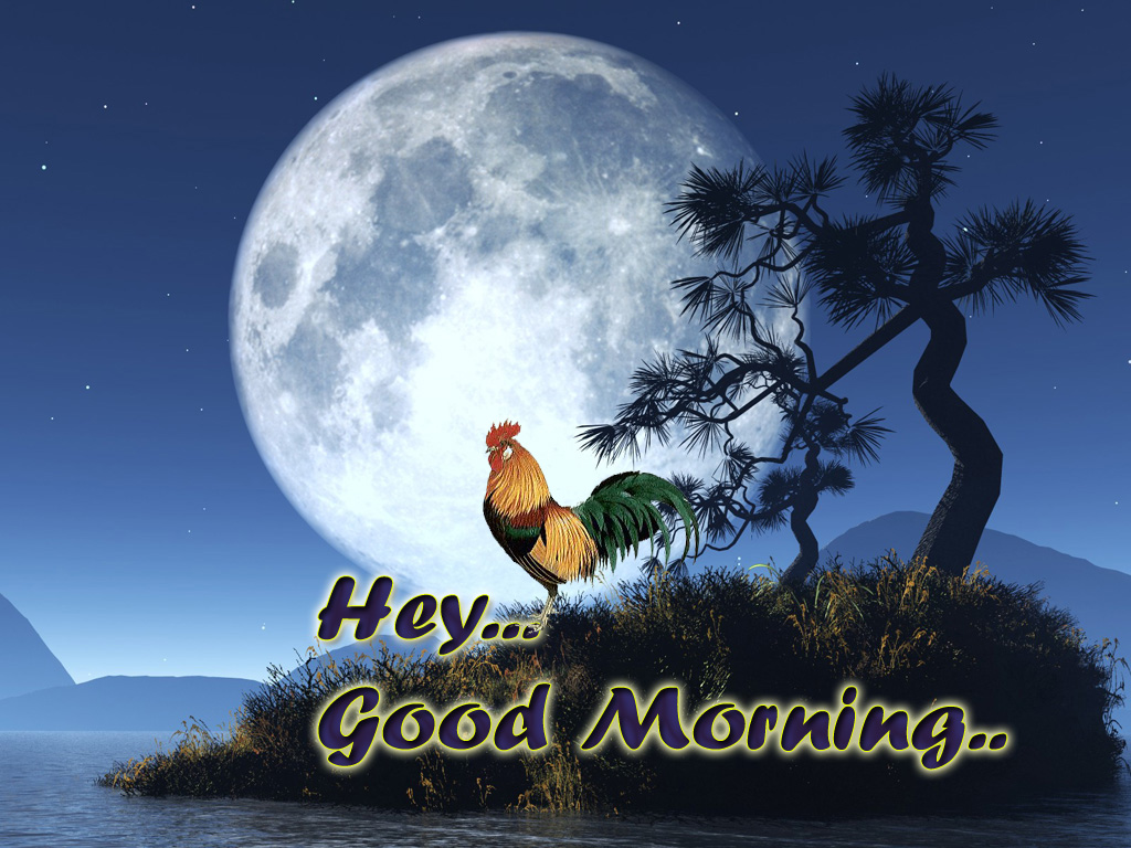 good morning live wallpaper,nature,sky,moon,moonlight,natural landscape ...