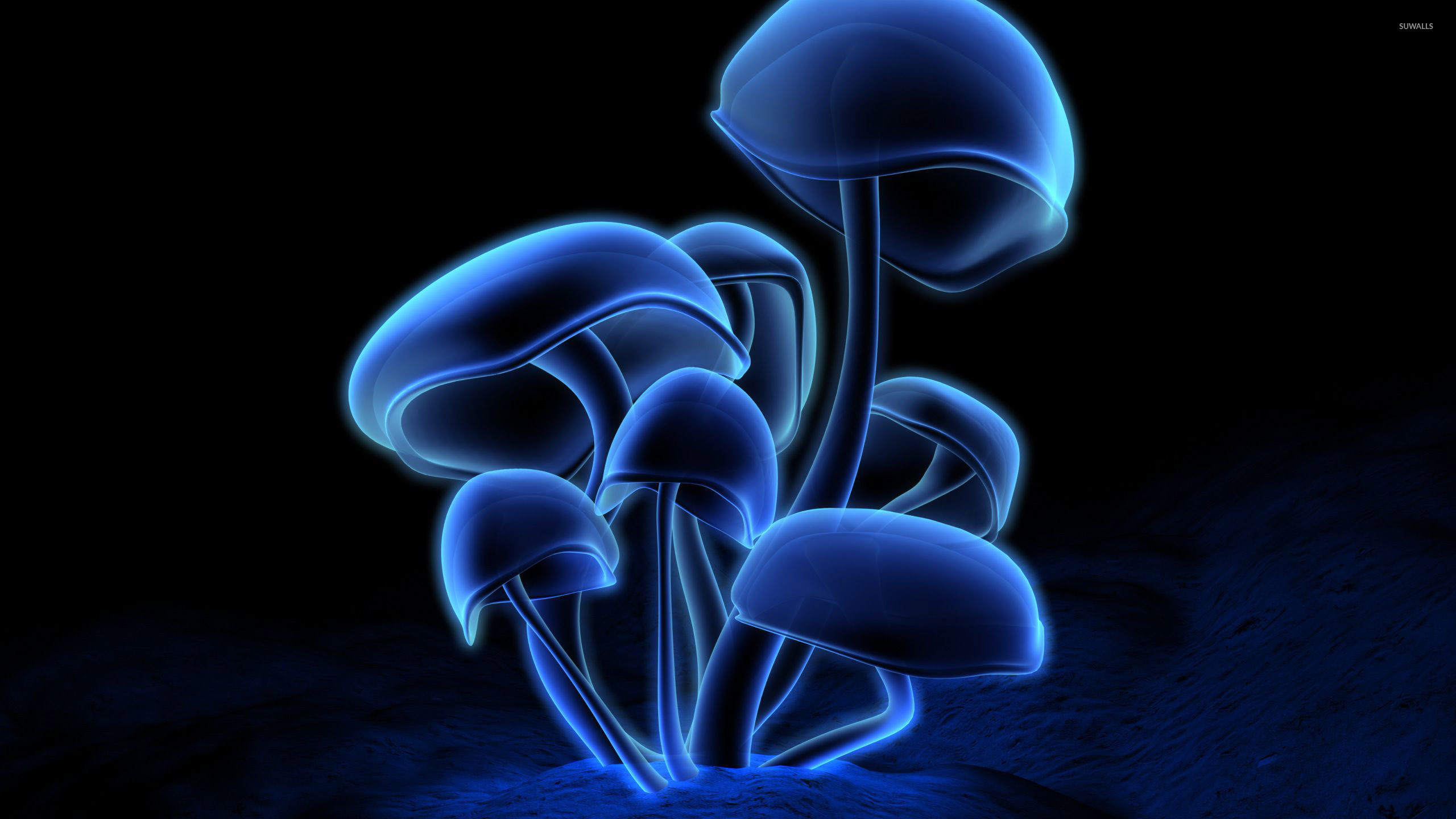 Neon Mushrooms Wallpaper Jpg Data-src - Digital Blasphemy Mushrooms ...