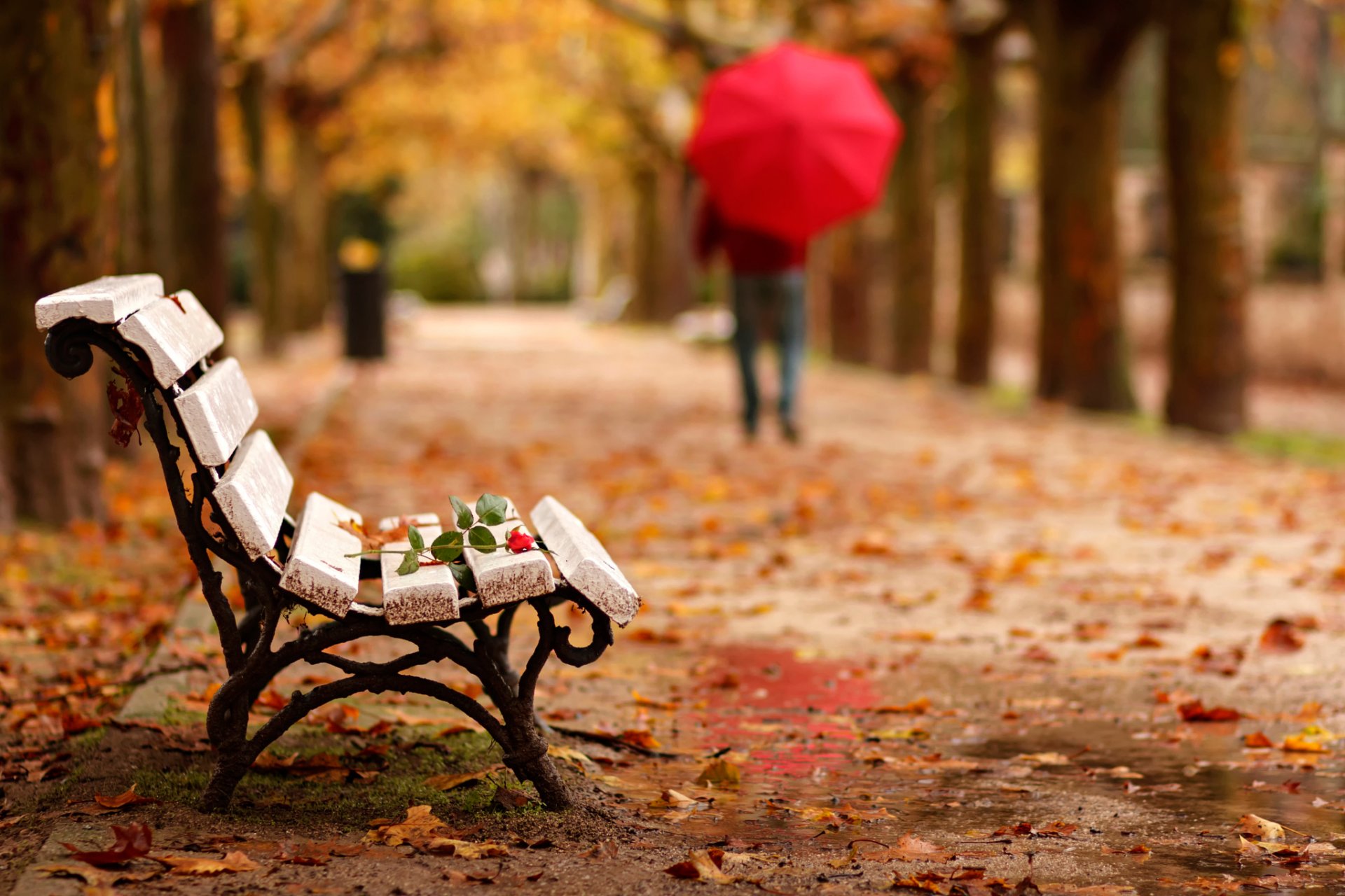 goodbye wallpaper,nature,leaf,furniture,natural landscape,autumn ...