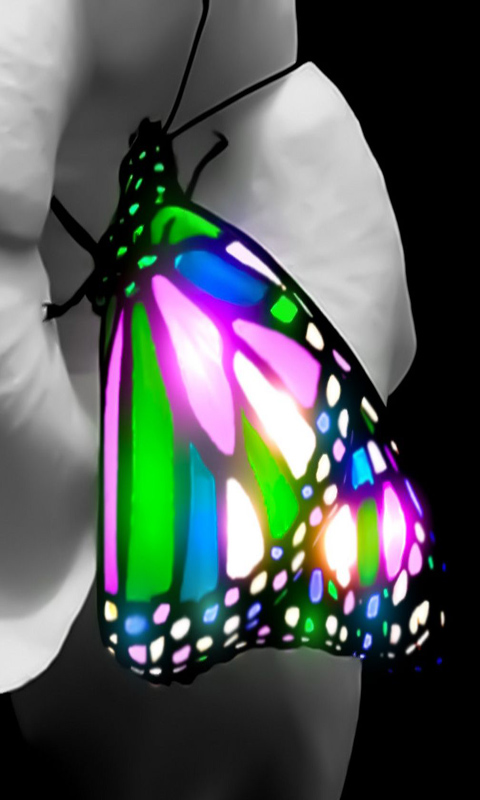 Beautiful Neon Butterflies- WallpaperUse